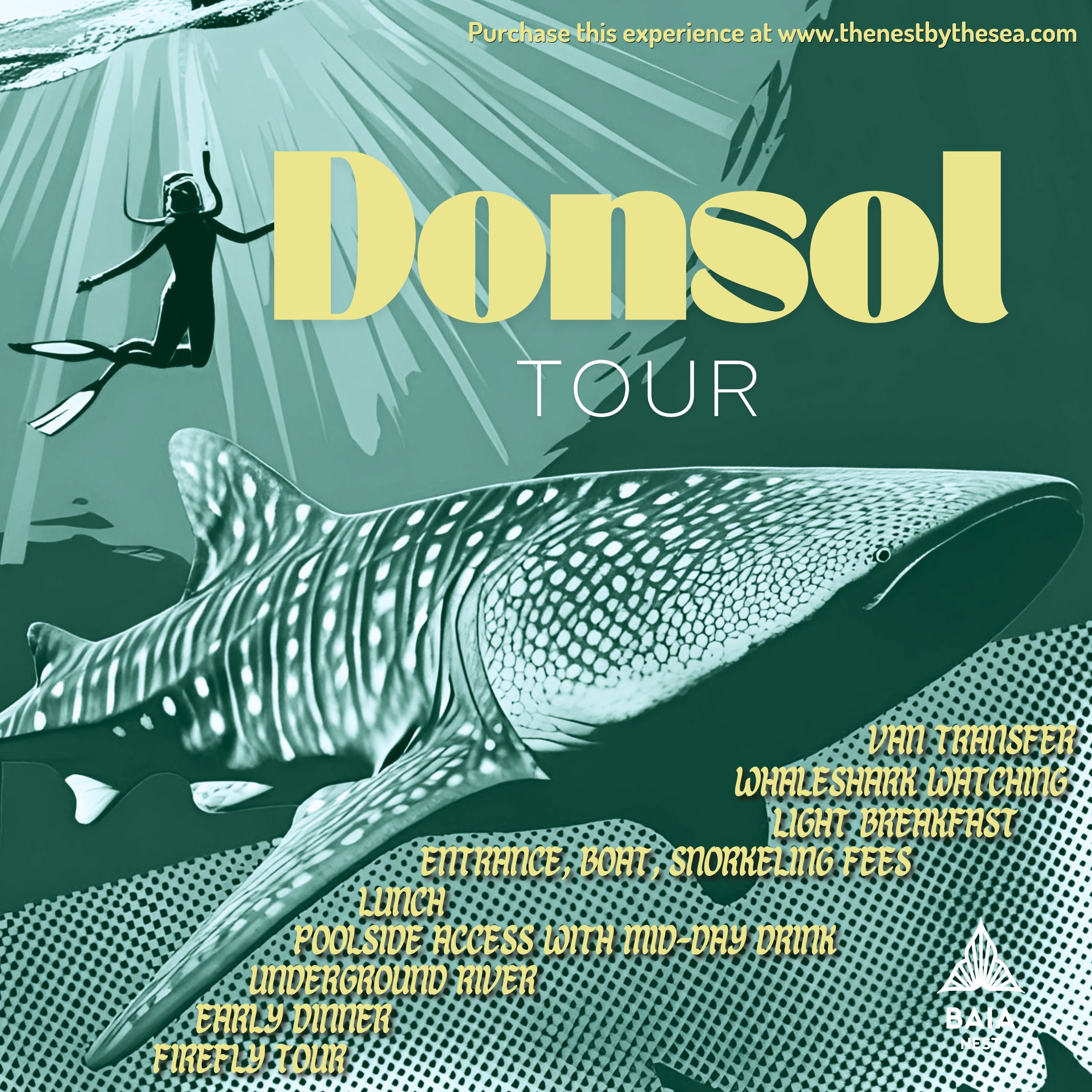 Donsol Tour For 6 Guests – Shop The Nest by the Sea