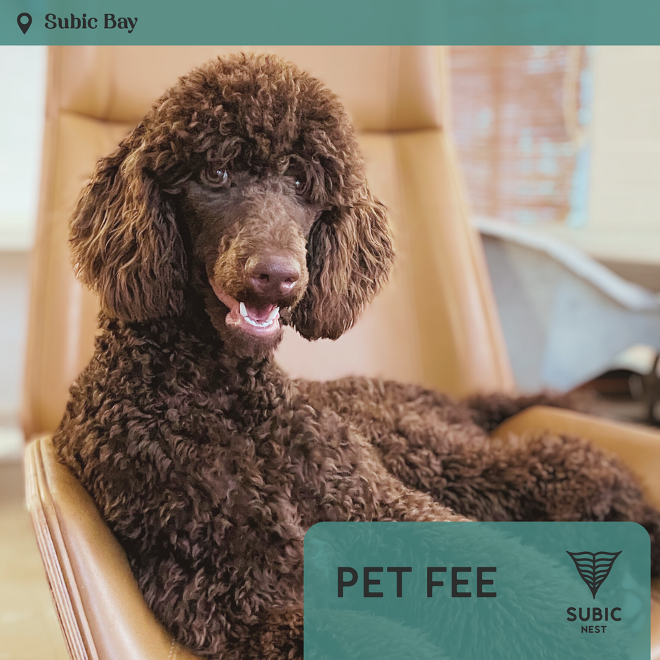 SUBIC NEST – Shop The Nest by the Sea